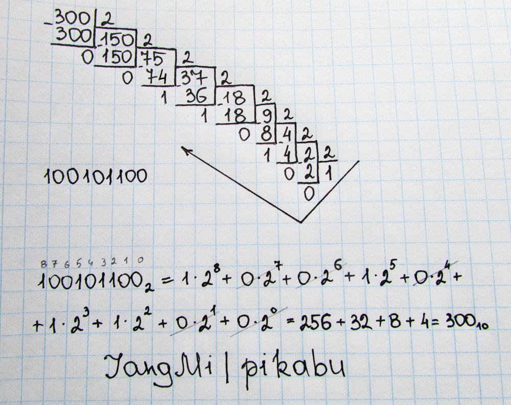 100101100 | Пикабу