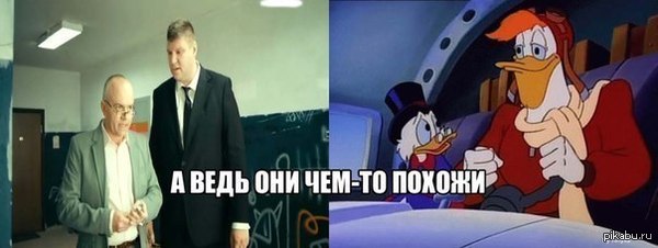 Утиные истории | Пикабу