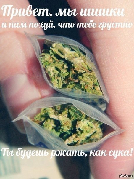 курение отрывает | Пикабу