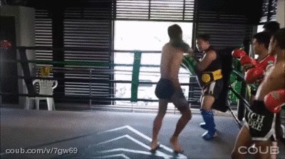 Sub-Zero wins | Пикабу