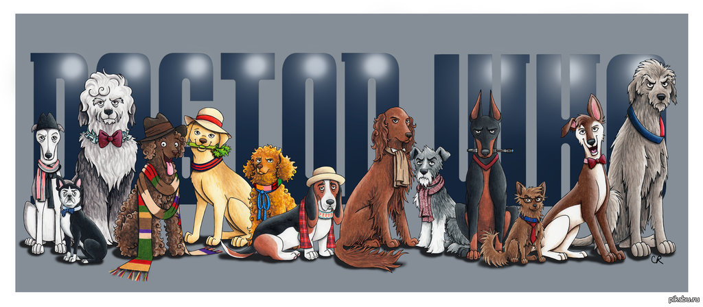 Dogtor Who | Пикабу
