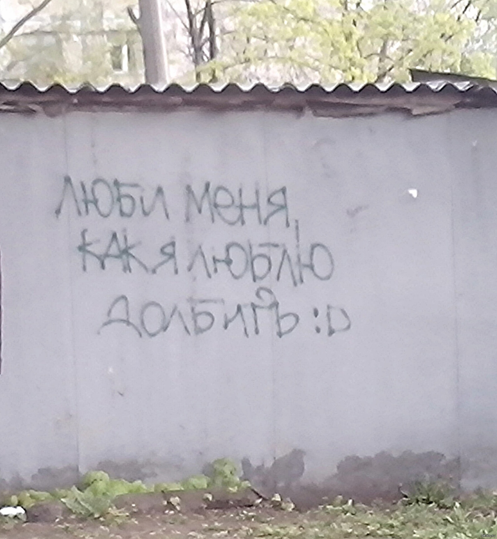 Сфоткал | Пикабу