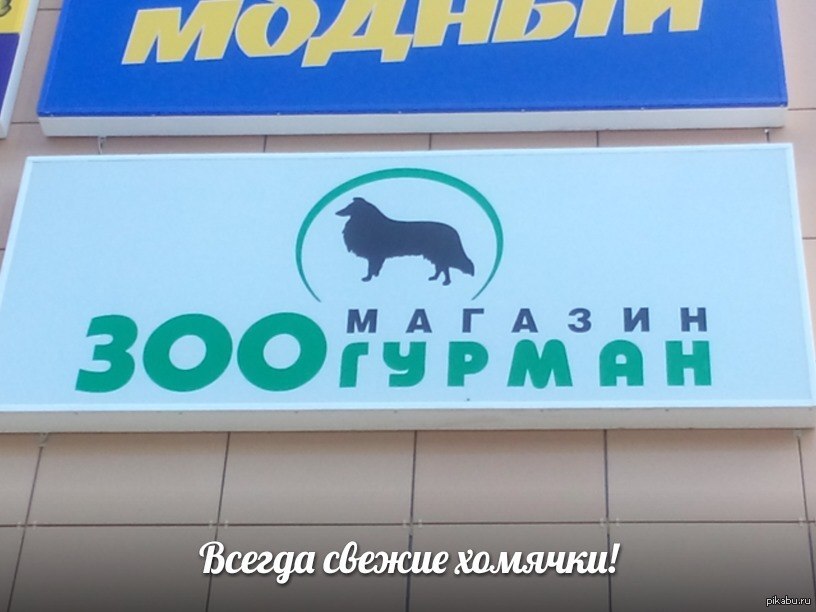 Зоогурман | Пикабу
