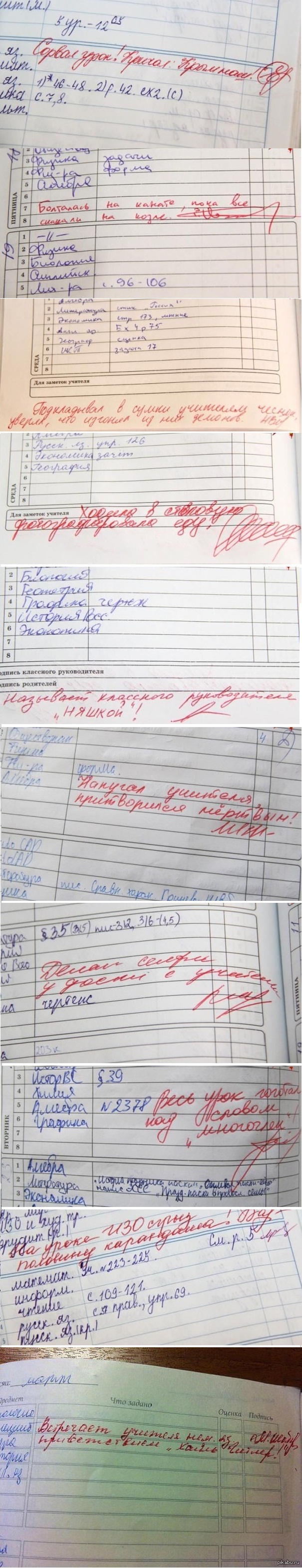 Записи в дневниках | Пикабу