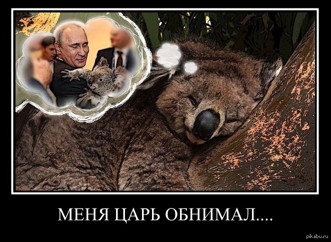 По итогам G20. | Пикабу