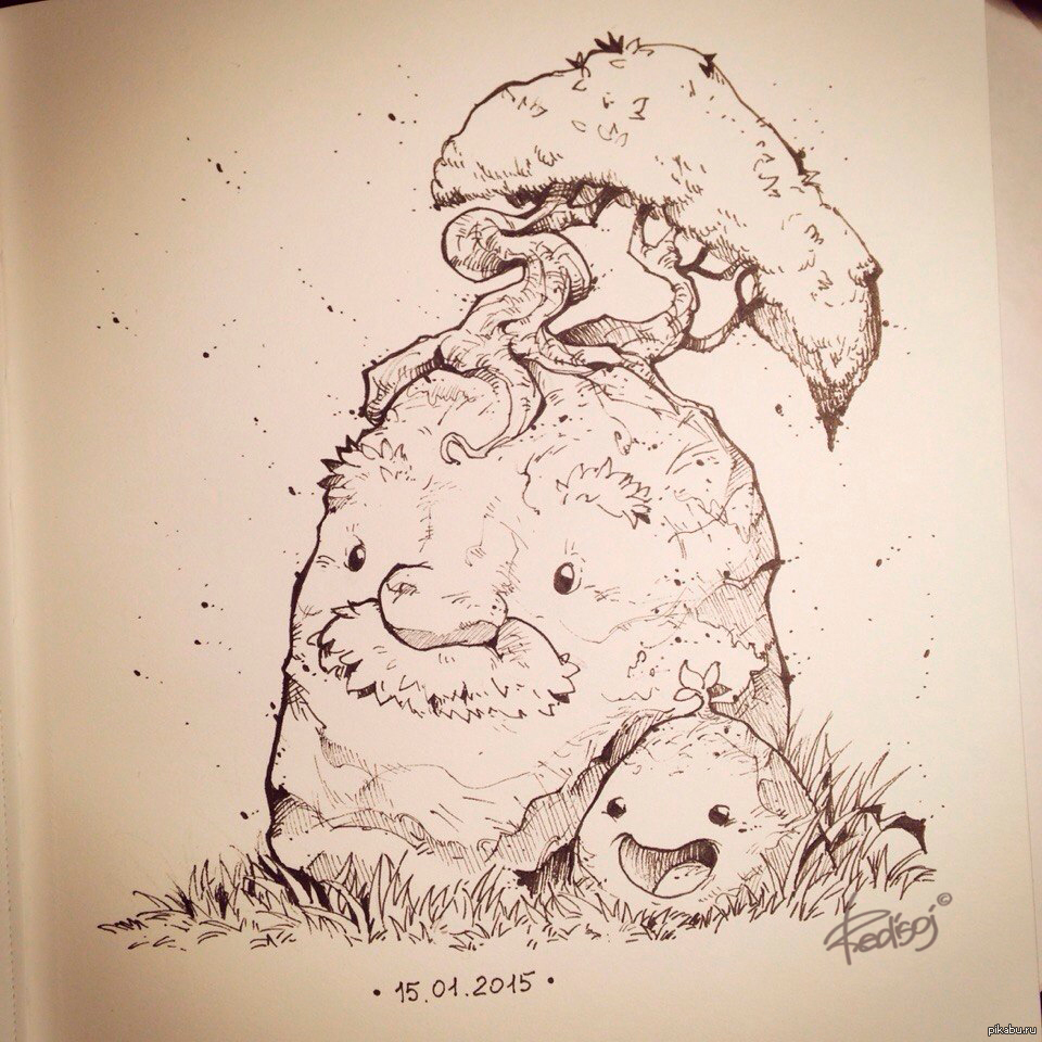 1page 1day 15 января | Пикабу