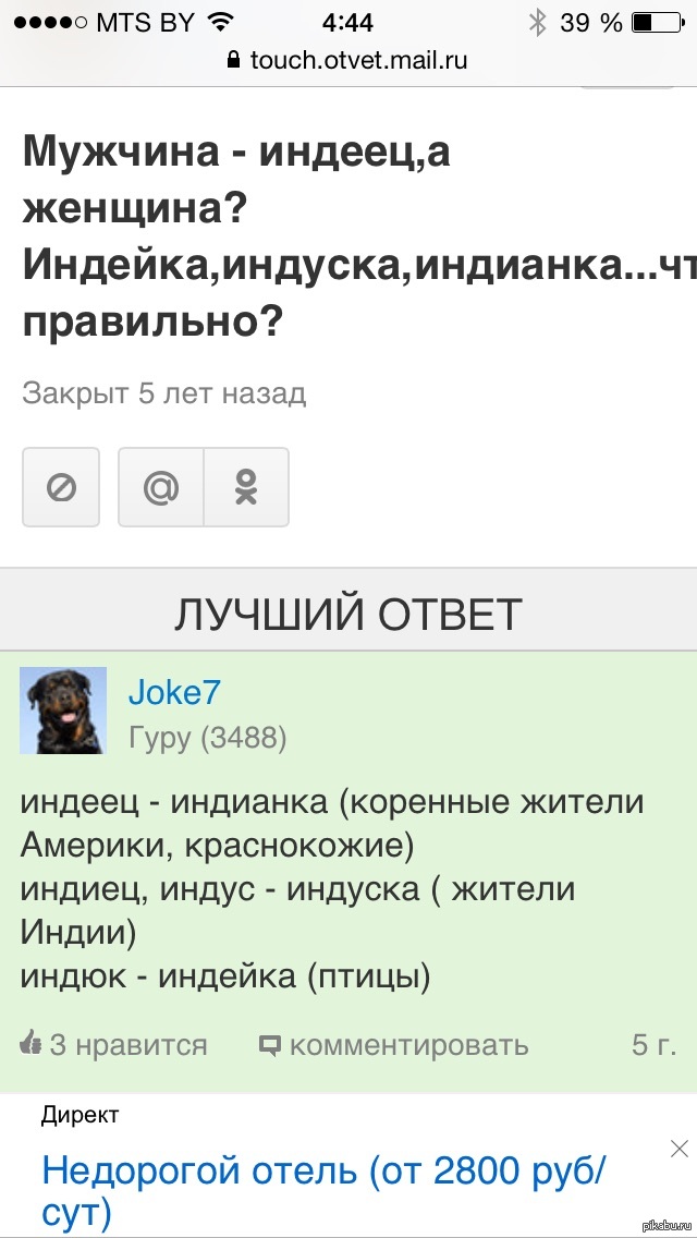 Индюк-индейка:D | Пикабу