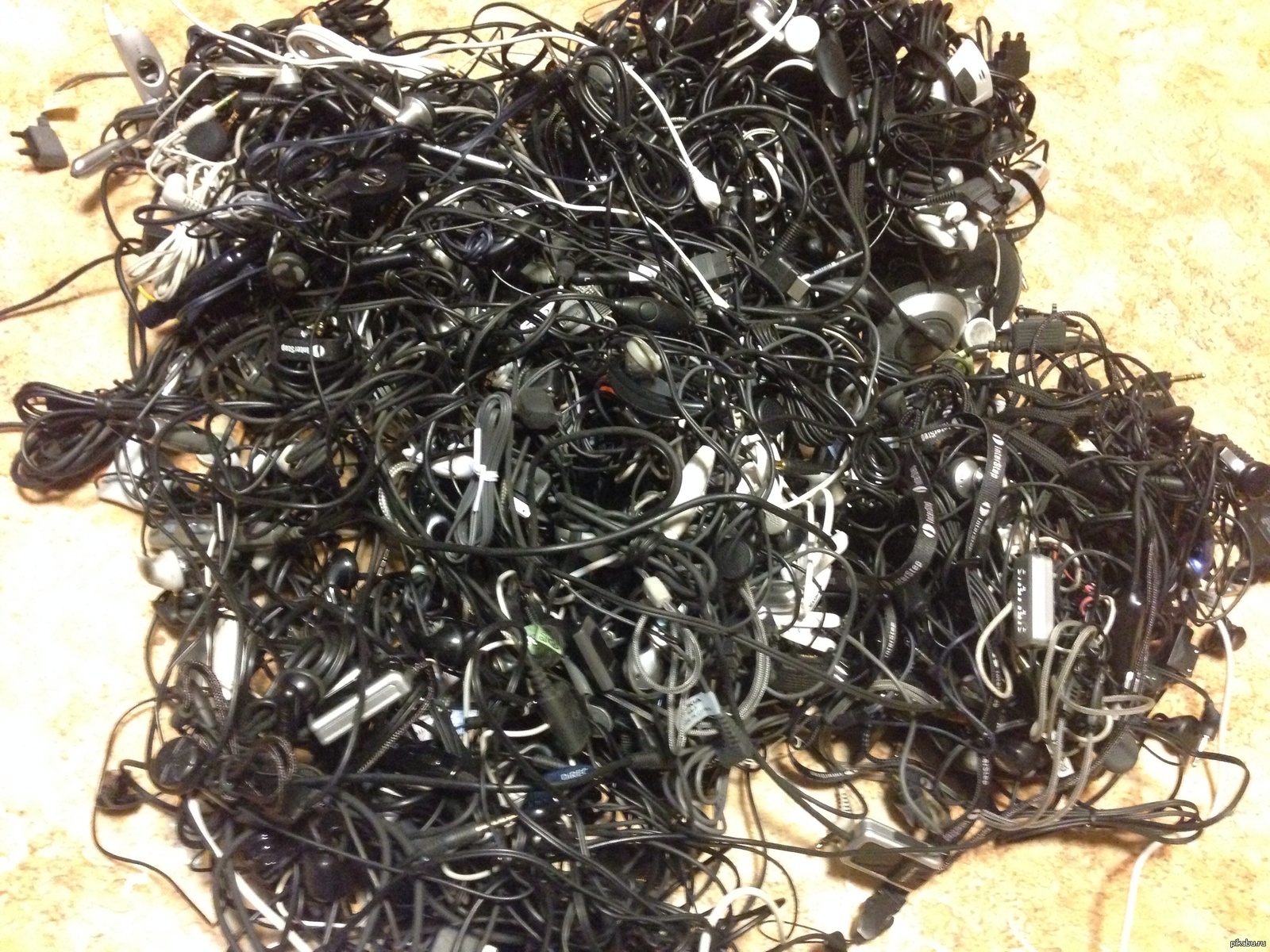 То что можно возненавидеть, так за то что их такими создали. | Пикабу