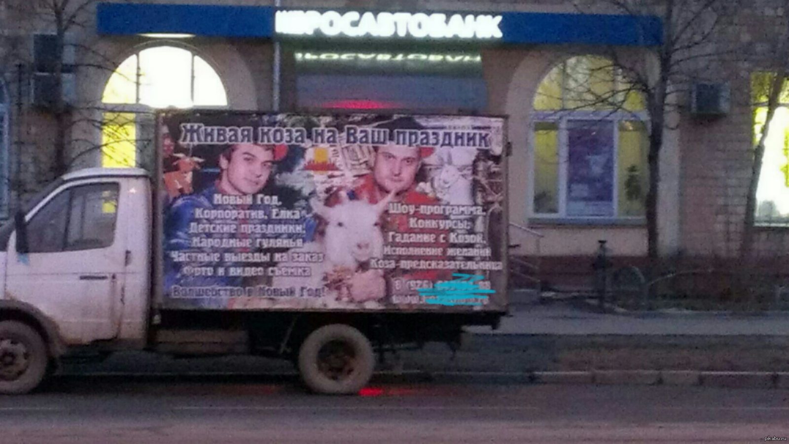 Коза на праздник! | Пикабу