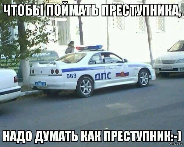 Тем временем в ДПС... | Пикабу