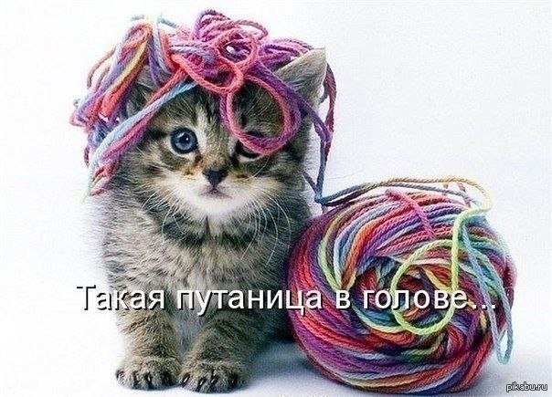 ПуТаНиЦа | Пикабу