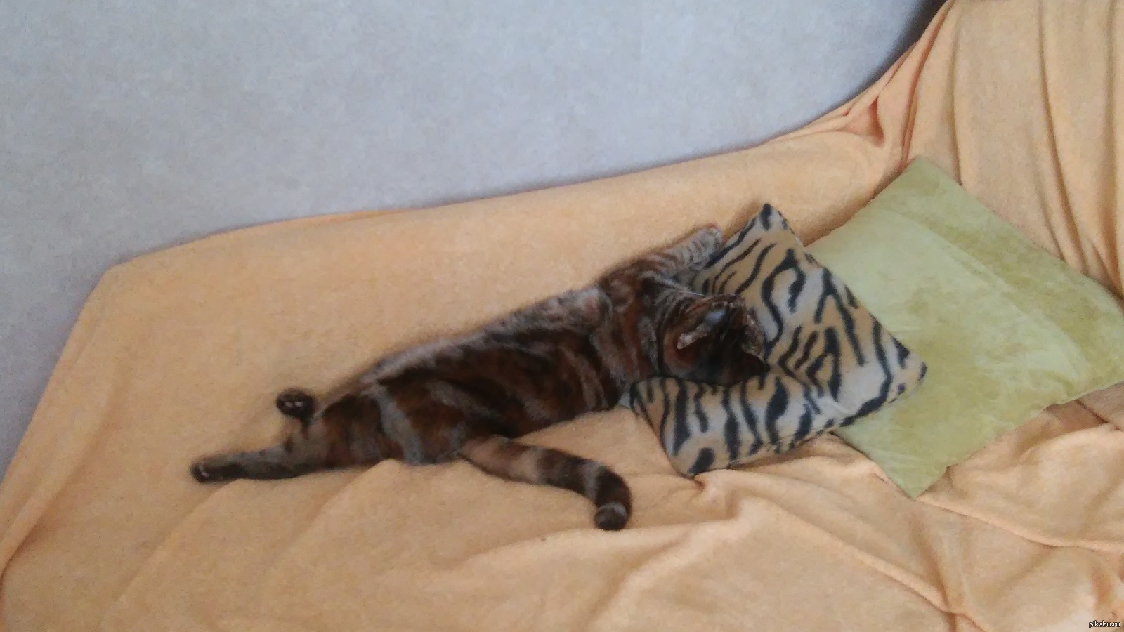 \"Кайфуем, сегодня мы с тобой кайфуем...!\" | Пикабу