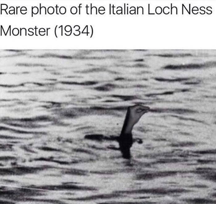 Вдохновившись постом про Alien \ Italien | Пикабу