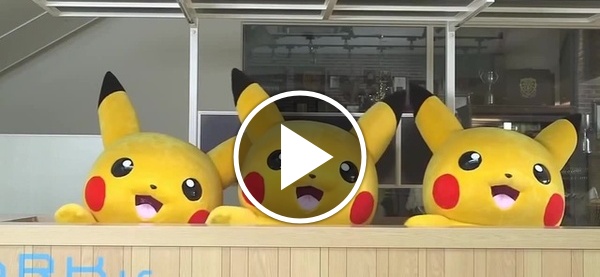 Flashback cat | Пикабу